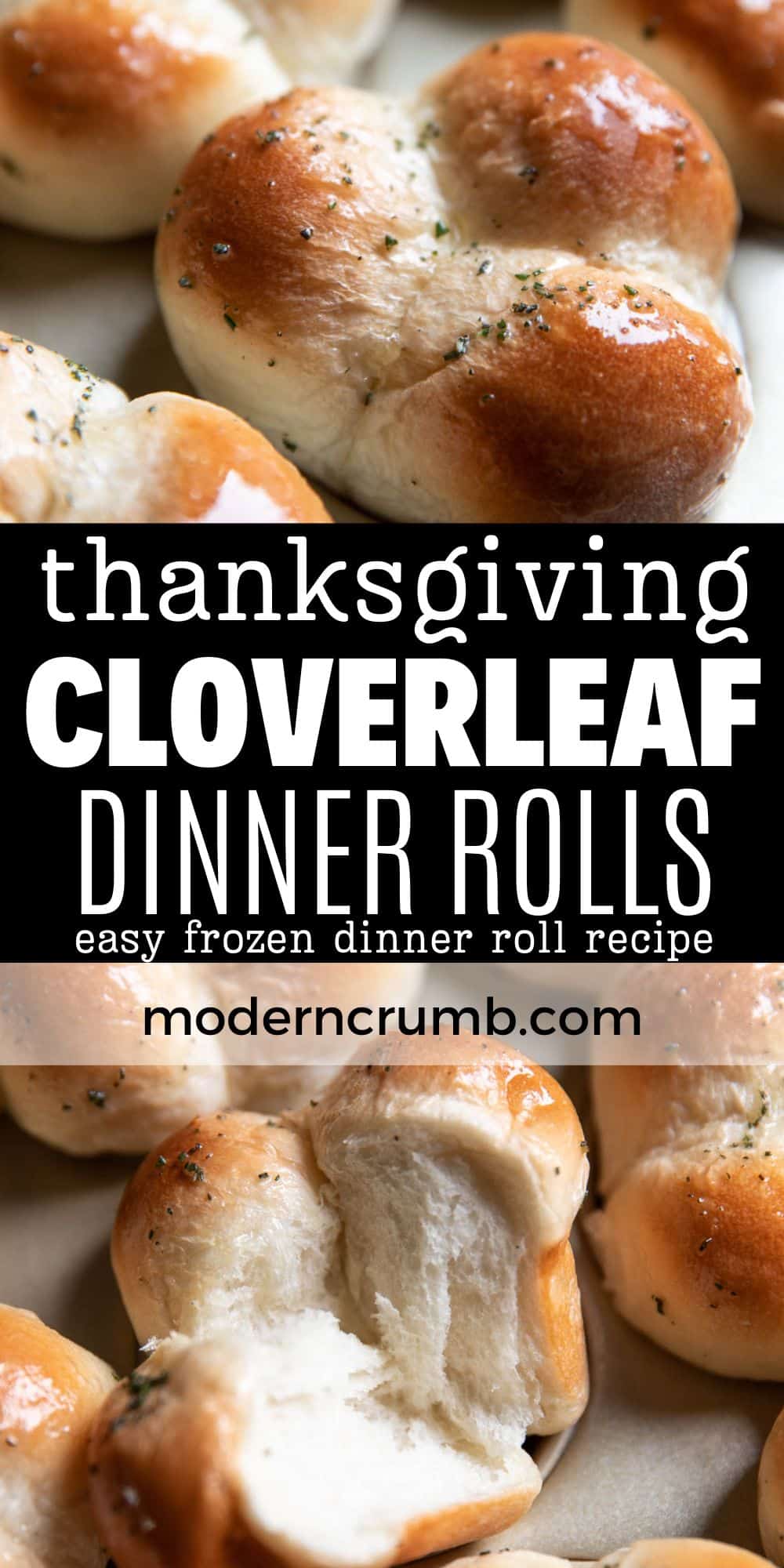 Cloverleaf Buttery Herb Dinner Rolls - Modern Crumb