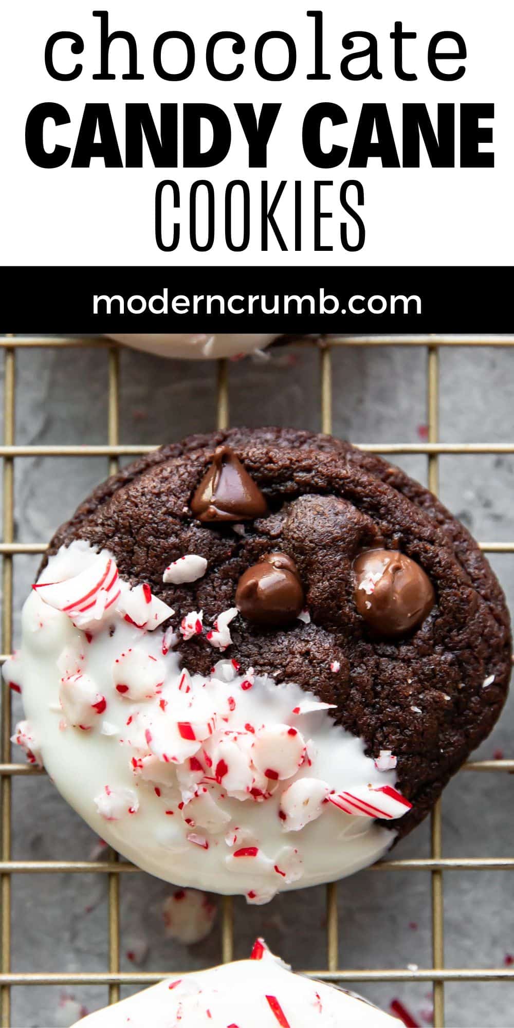 Chocolate Candy Cane Cookies - Modern Crumb