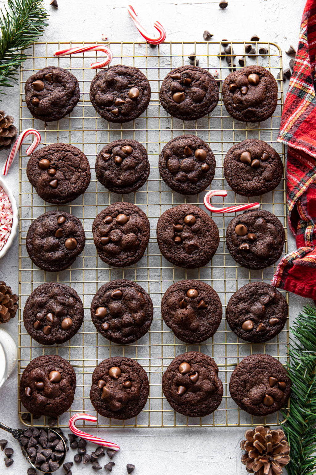 Chocolate Candy Cane Cookies - Modern Crumb
