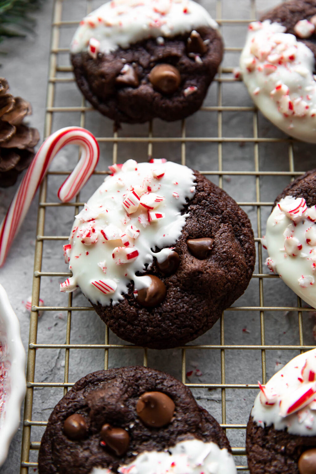 Chocolate Candy Cane Cookies - Modern Crumb